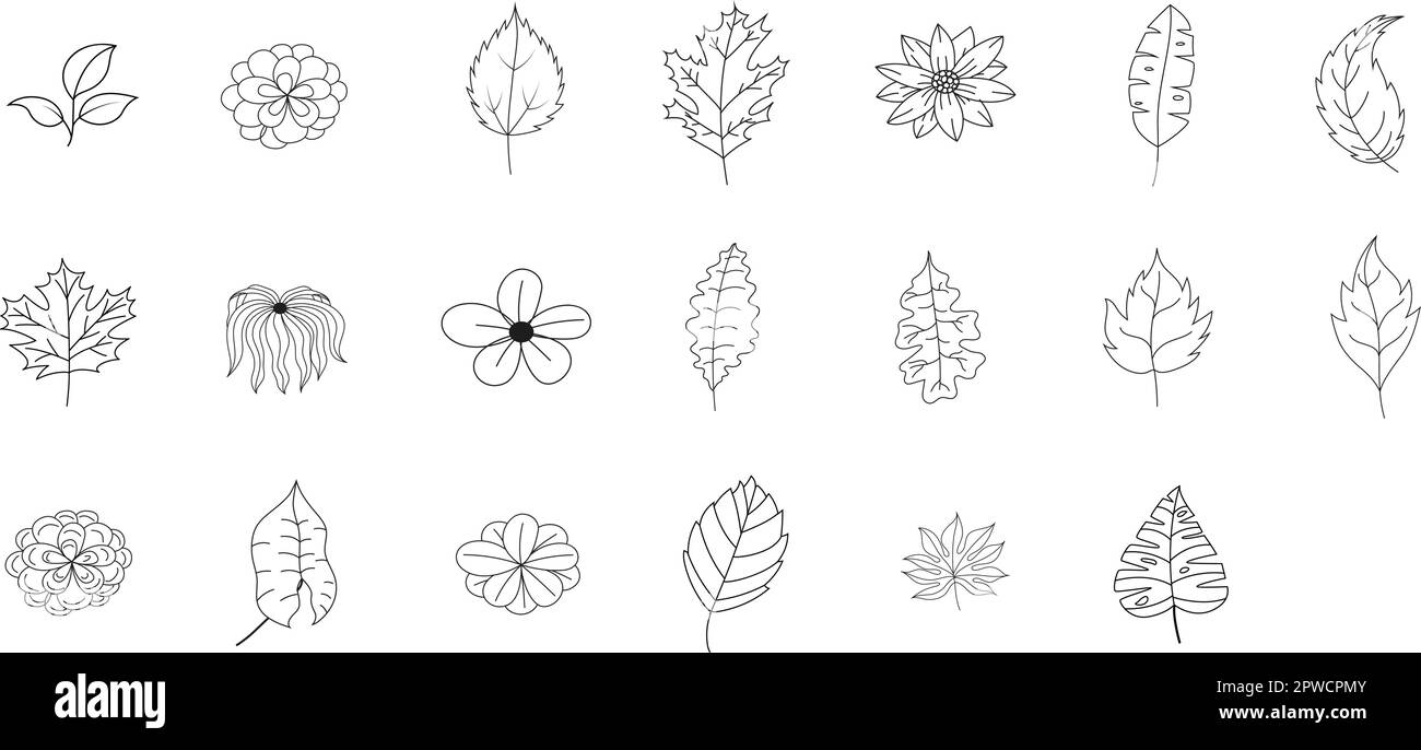 Tropical leaves line art. Monstera leaf outline, doodle jungle ferns ...