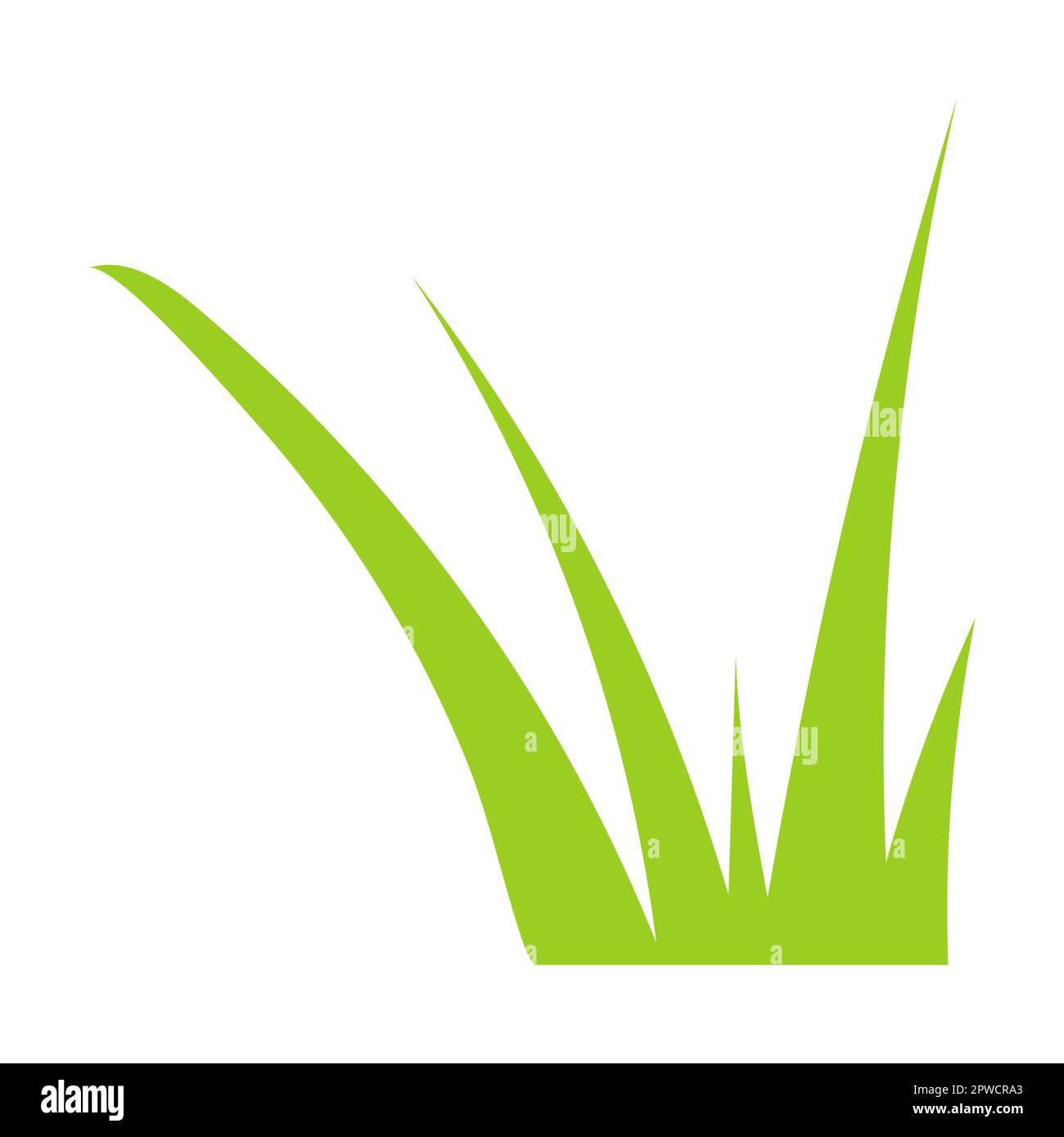Young Greenery Grass Pattern Vector Illustration Of Plants Floral Borders Isolated On White 
