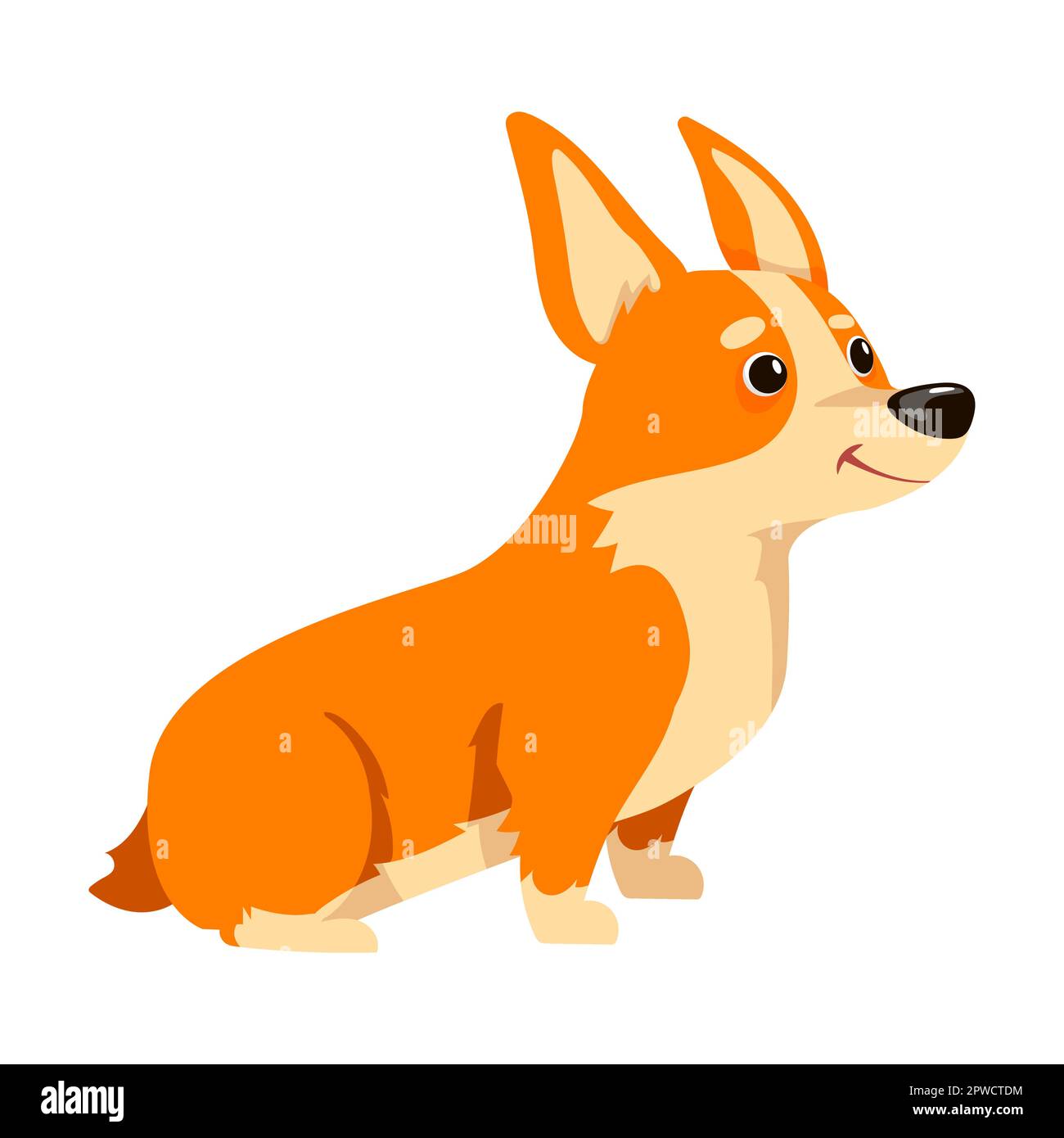 Corgi dog character sitting and waiting. Vector illustration of corgi ...