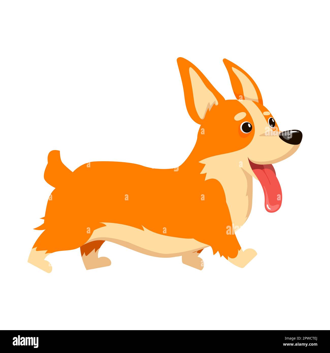 Corgi dog character going for a walk. Vector illustration of corgi ...