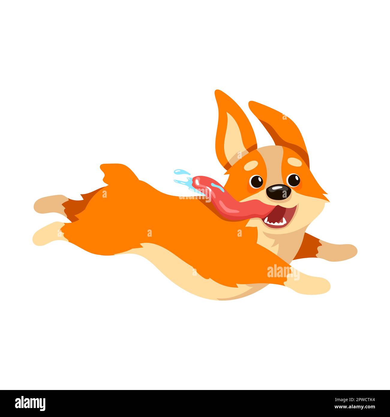 Welsh corgi running Stock Vector Images - Alamy