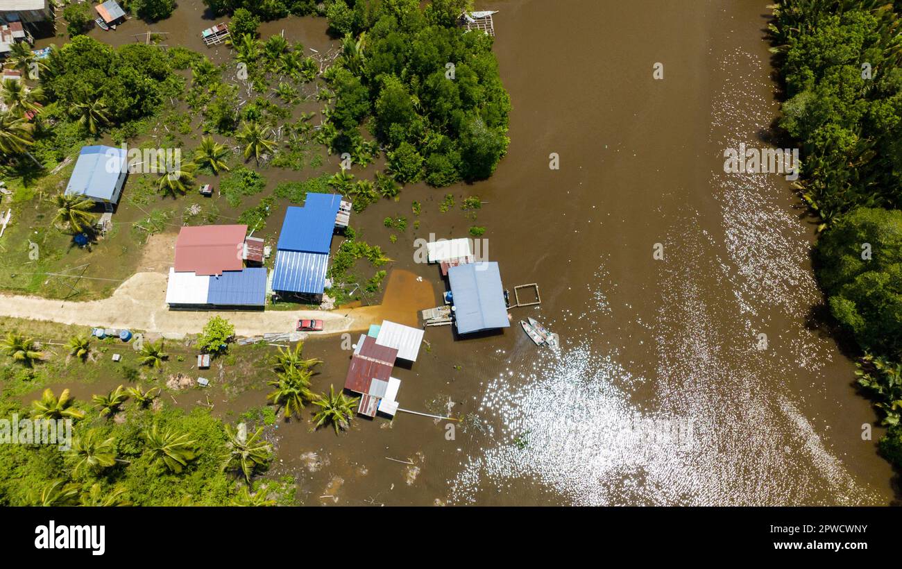 Aerial view of jungle and mangroves in wetlands. Menumbok forest ...
