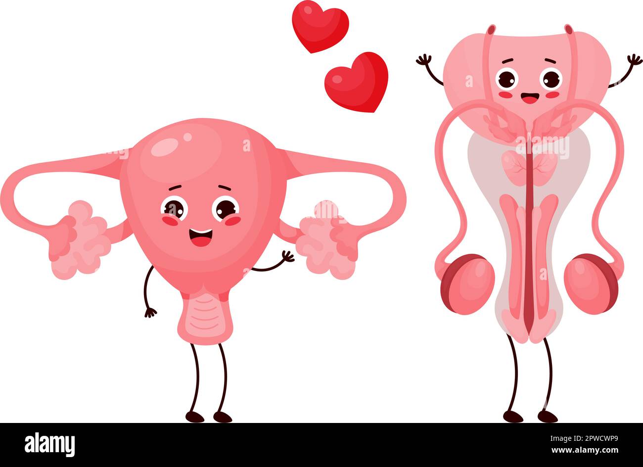 Cute cartoon reproductive organs. Happy characters female uterus and ...