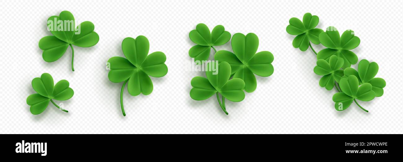 Realistic set of clover leaves isolated on transparent background. Vector illustration of 3D ...
