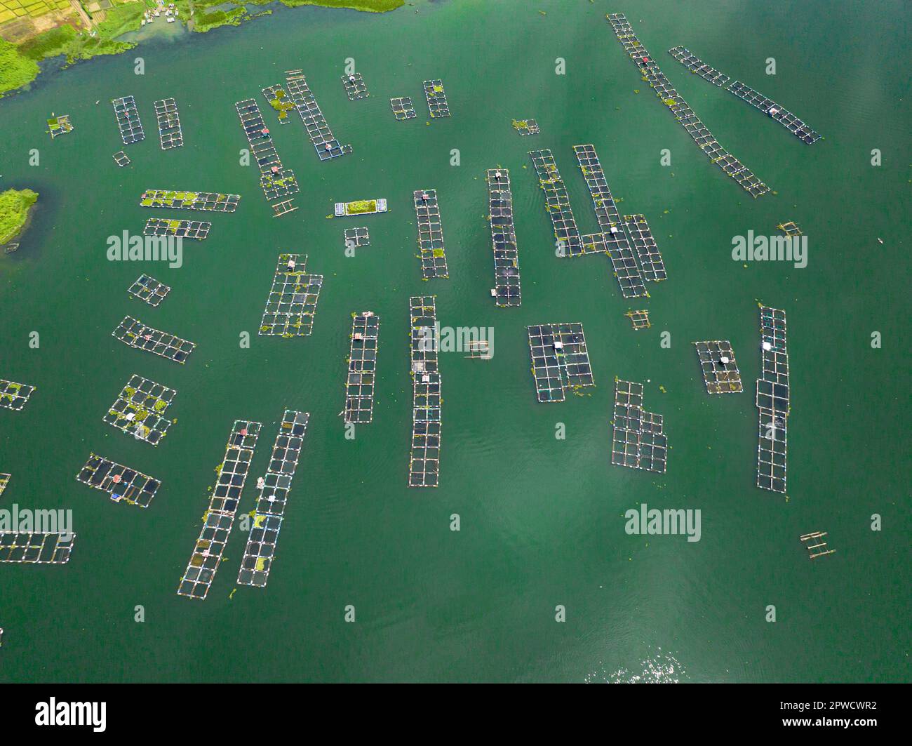 Farmland and fish farm on Lake Maninjau. Agriculture in the mountains ...