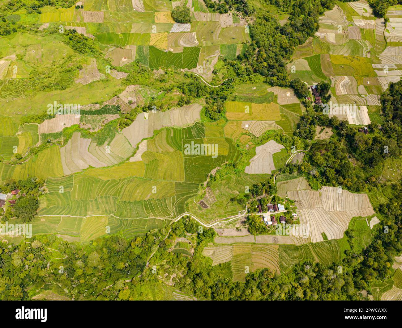 Aerial view of rice fields and agricultural land in the tropics ...