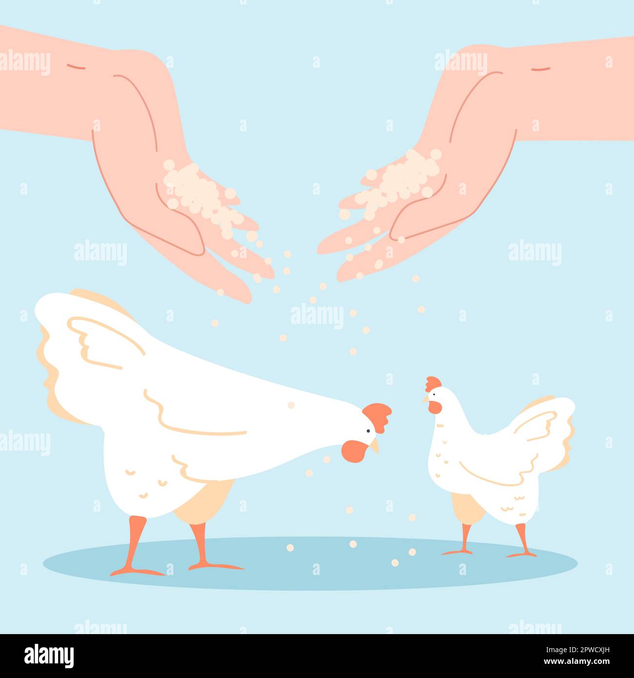 Feeding chickens with hand feed flat vector illustration Stock Vector ...
