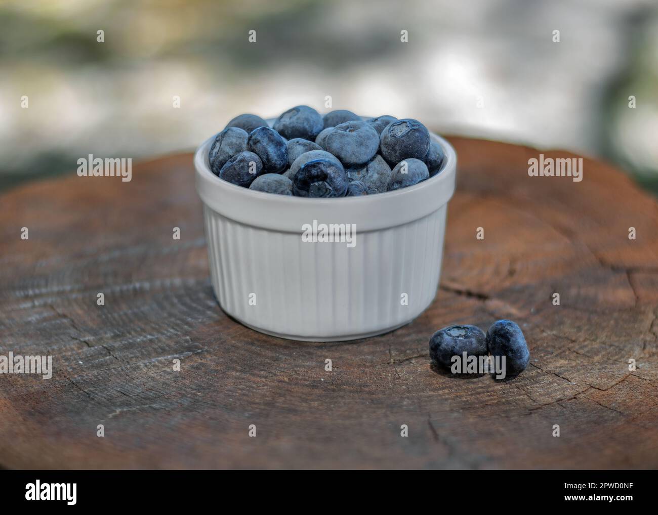 Close up delicious cold sweet blue blueberries in white glass bowl on ...