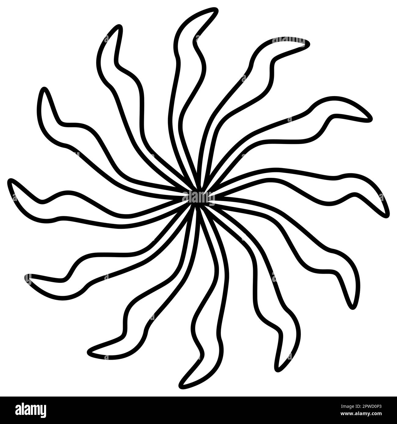 Sun or flower shape outline isolated on white. Circular shape with ...