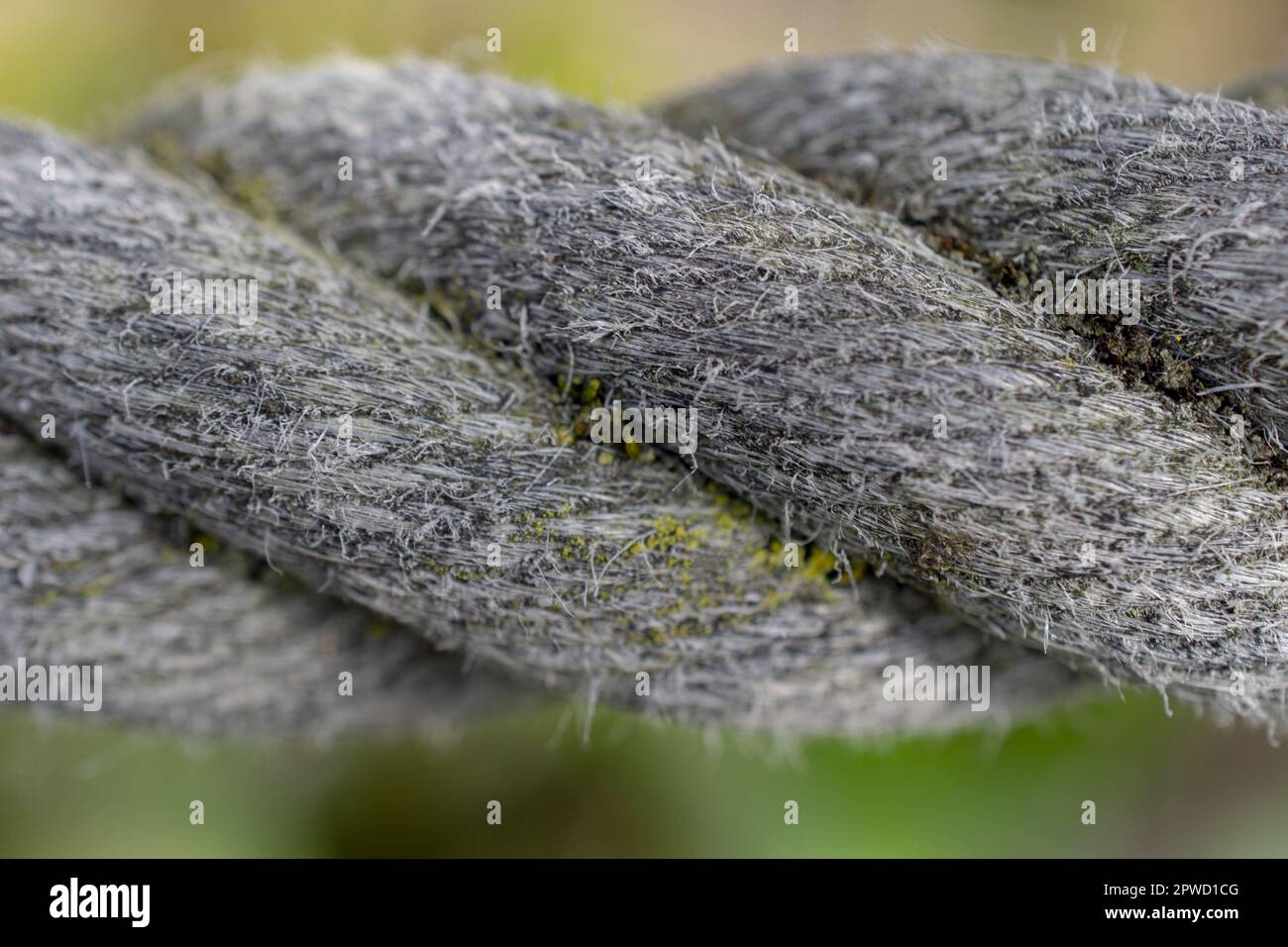 Rope made of natural coarse sisal fiber Stock Photo - Alamy