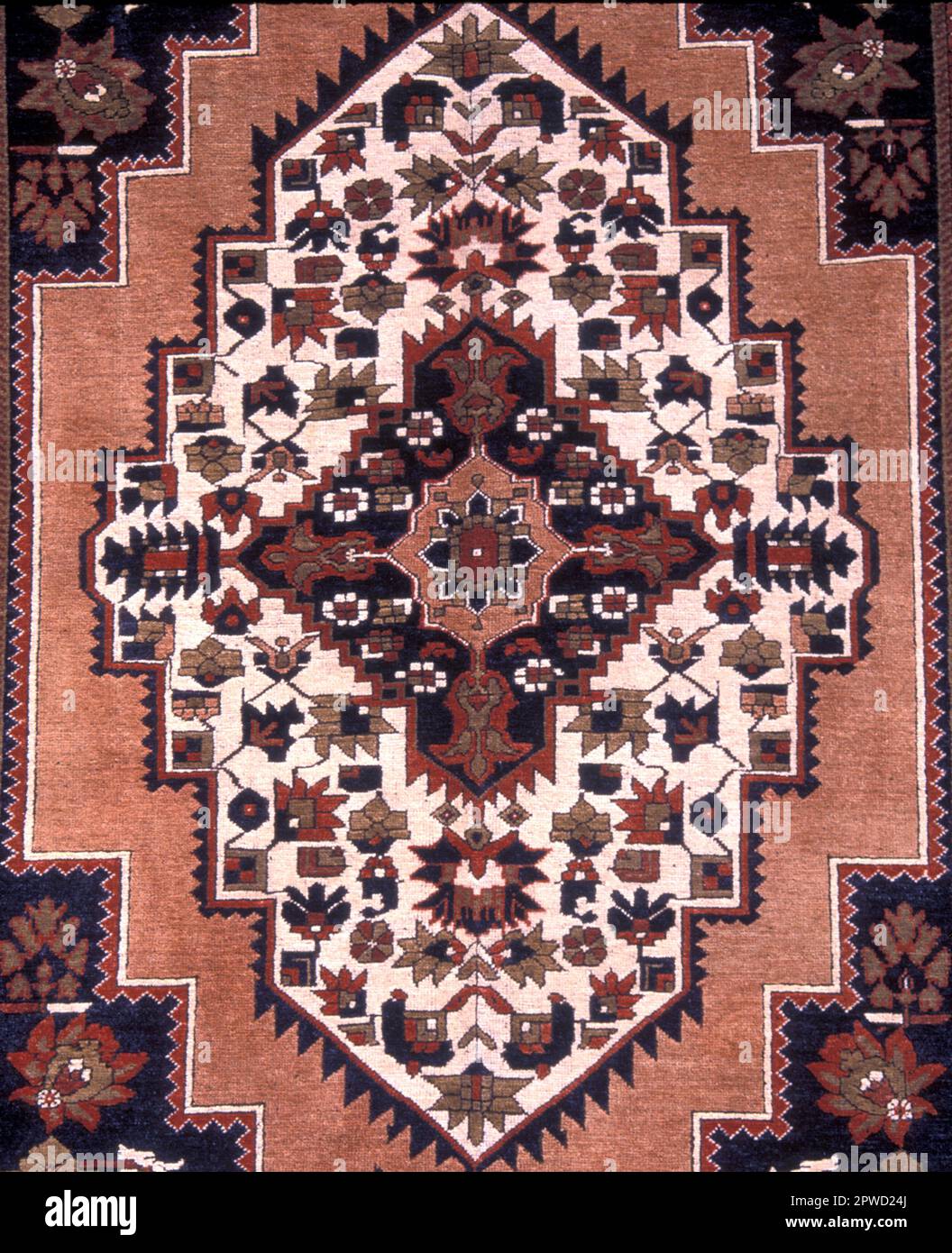 Large camel herd drinking at a desert water hole in southern Tunsia ...