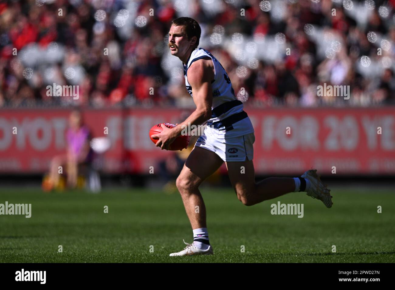 Tom Atkins of Geelong in action during the AFL Round 7 match between ...