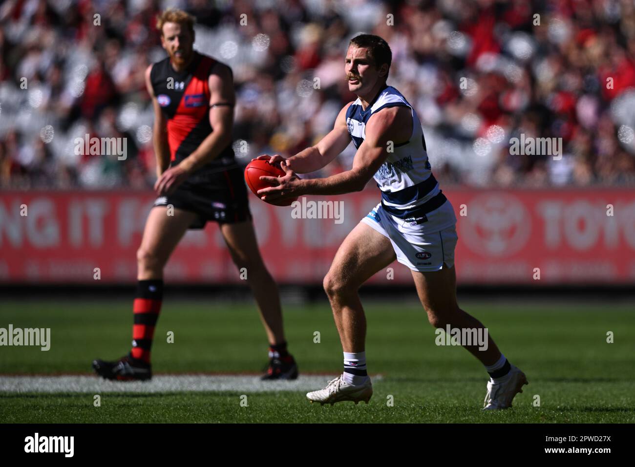 Tom Atkins of Geelong (right) in action during the AFL Round 7 match ...