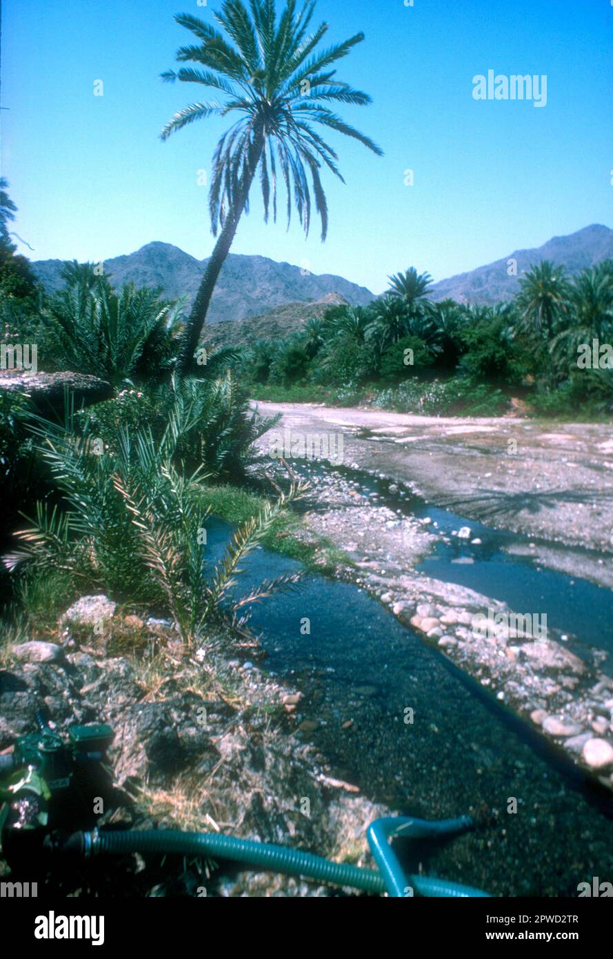 Irrigation from a mountain spring in Fujairah, UAE Stock Photo - Alamy