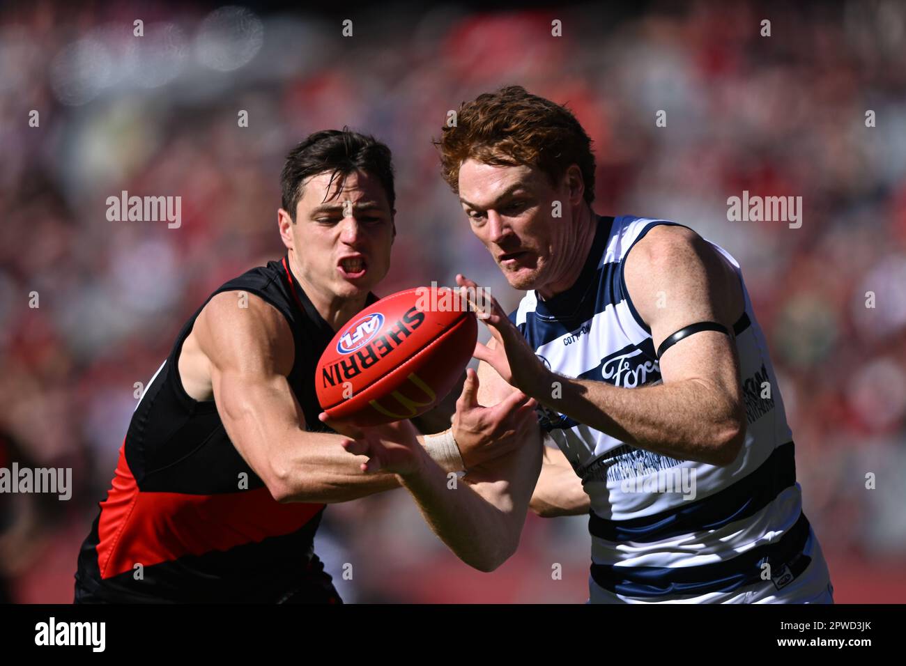 Gary Rohan of Geelong (right) in action during the AFL Round 7 match ...