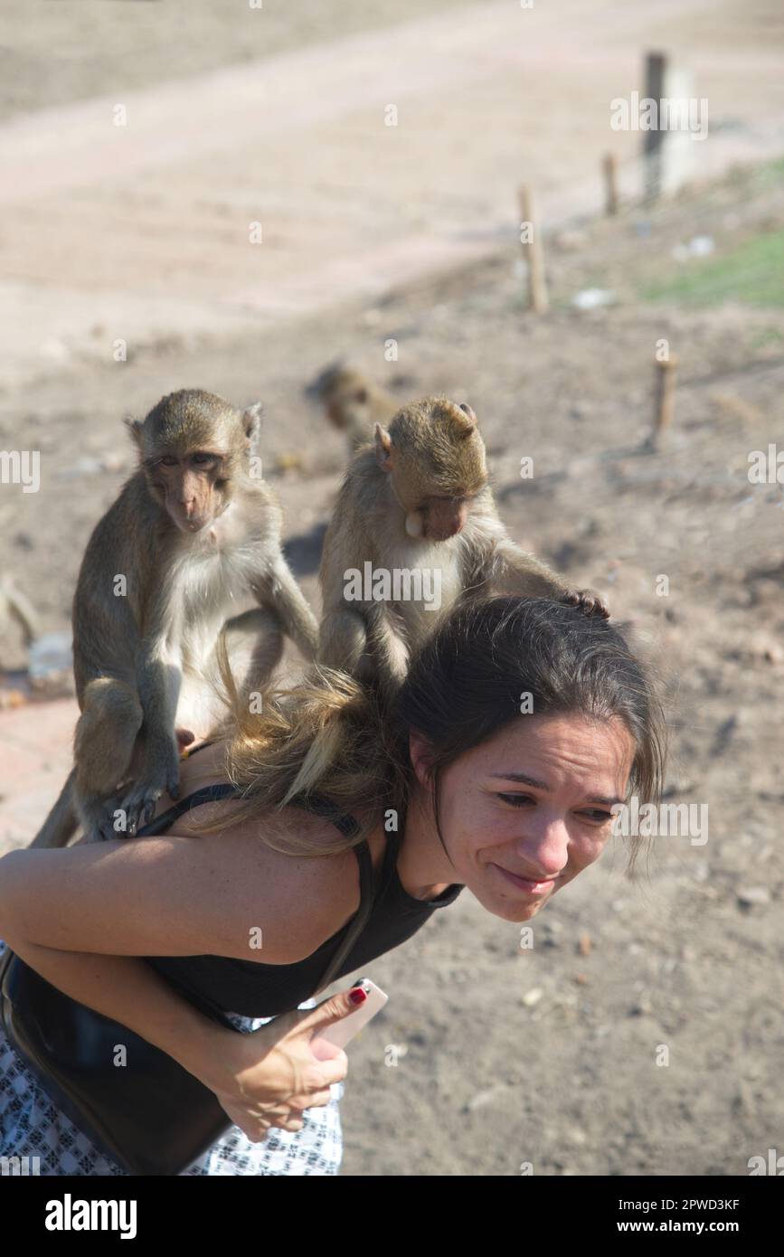 Female tourist is fun with monkeys. Because it climbing on her ...