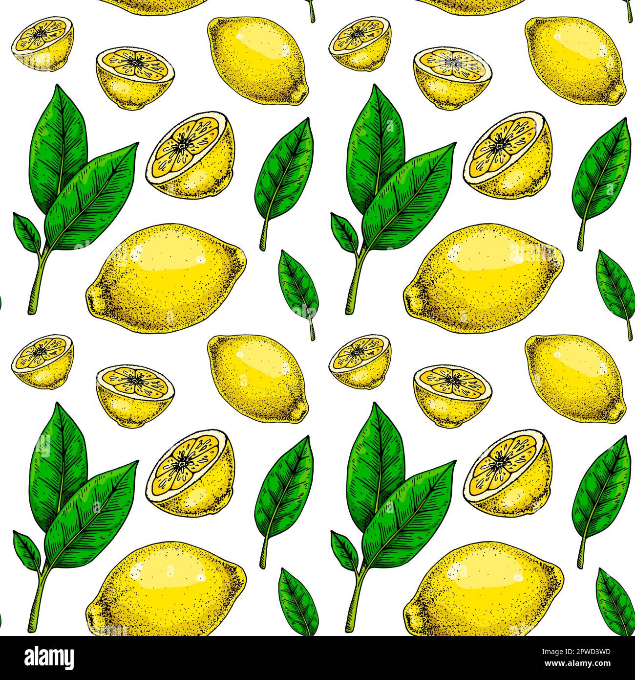 Lemon seamless pattern. Colorful hand drawn vector illustration in ...