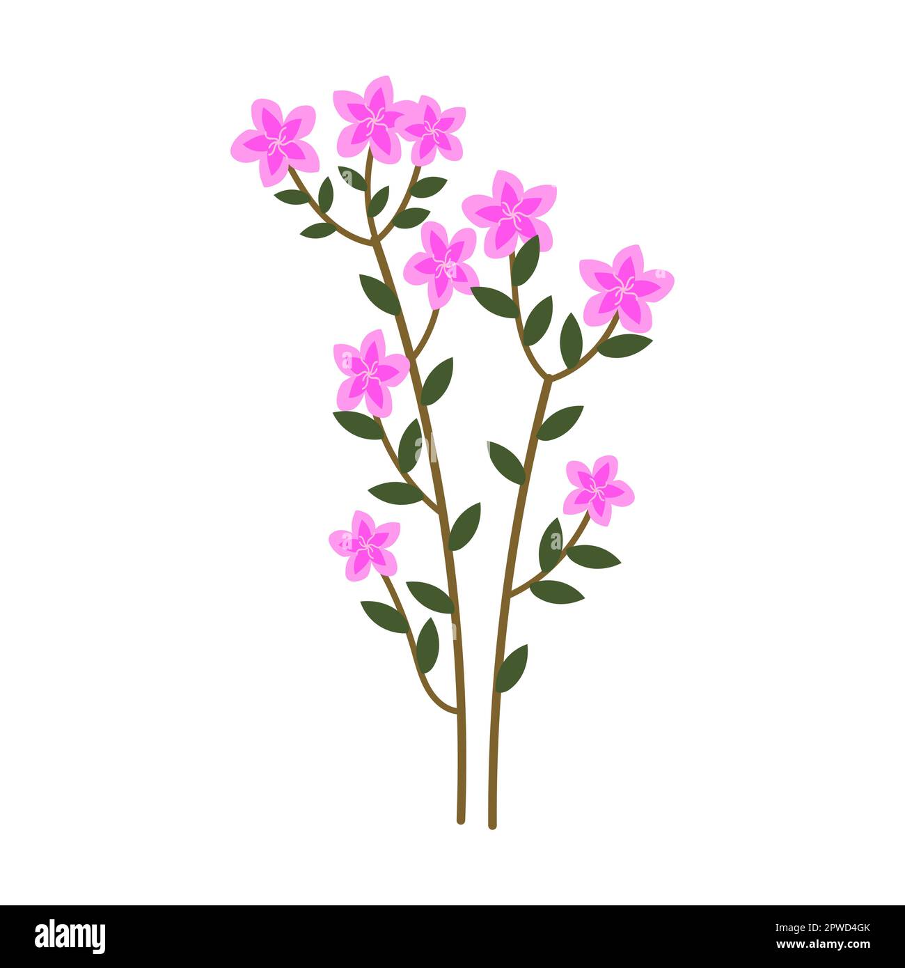 Melliferous Stock Vector Images - Alamy