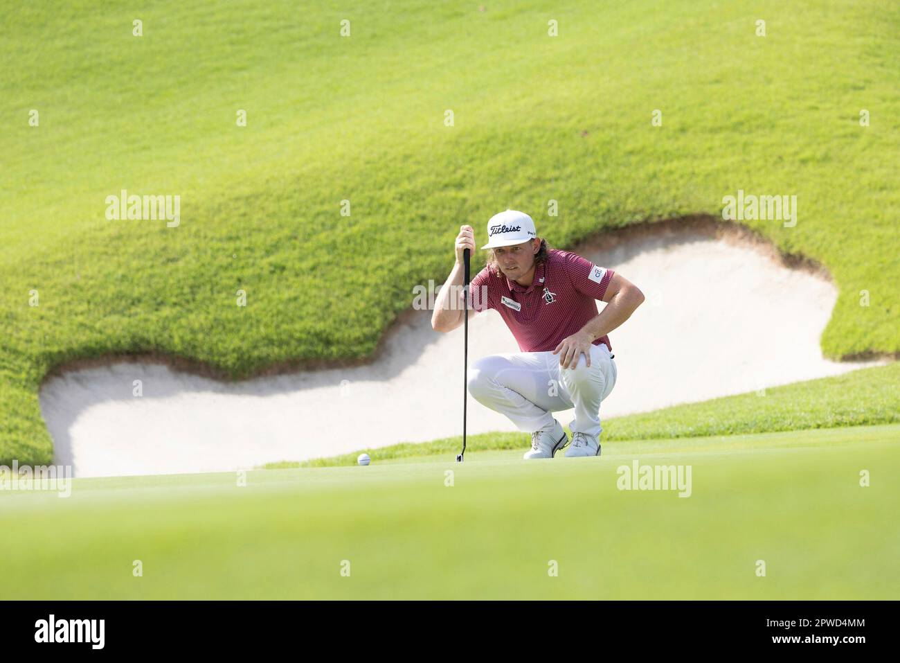 Captain Cameron Smith of Ripper GC lines up a putt on the eighth green ...