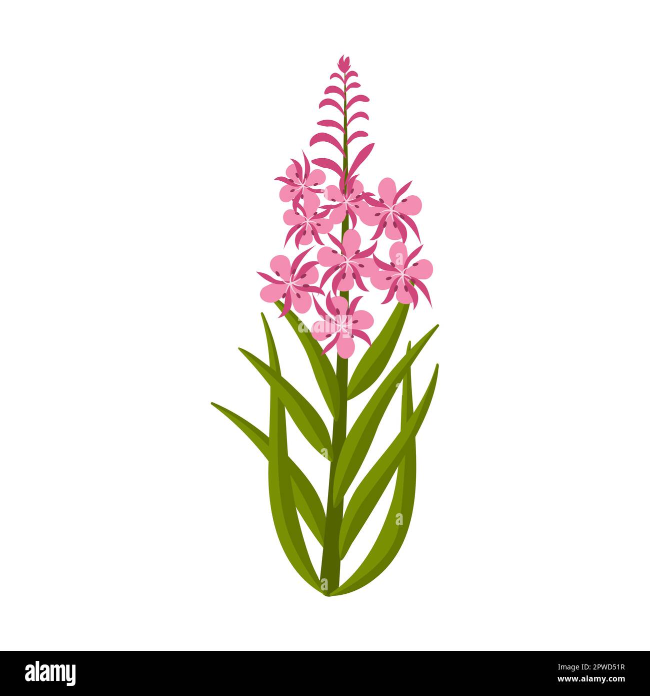 Buttercup forest Cut Out Stock Images & Pictures - Alamy