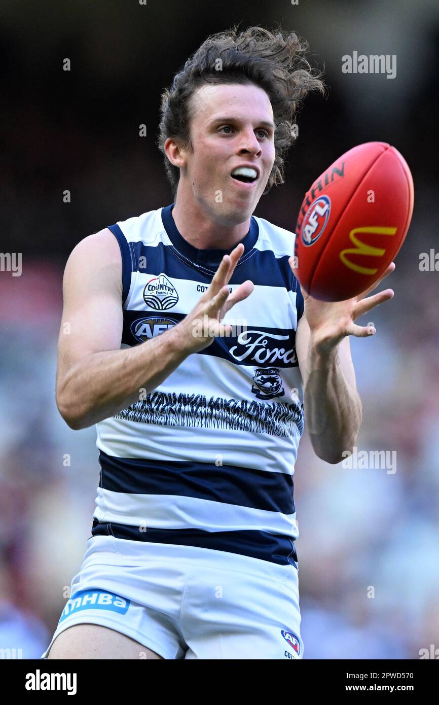 Max Holmes of Geelong marks the footy during the AFL Round 7 match ...