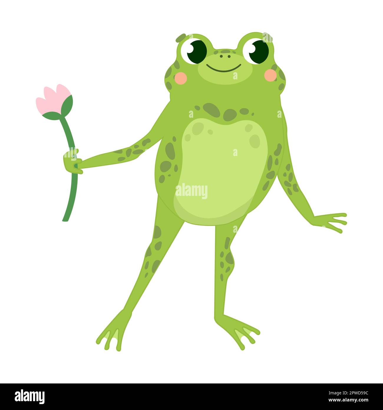 Tree Frog Jumping Drawing
