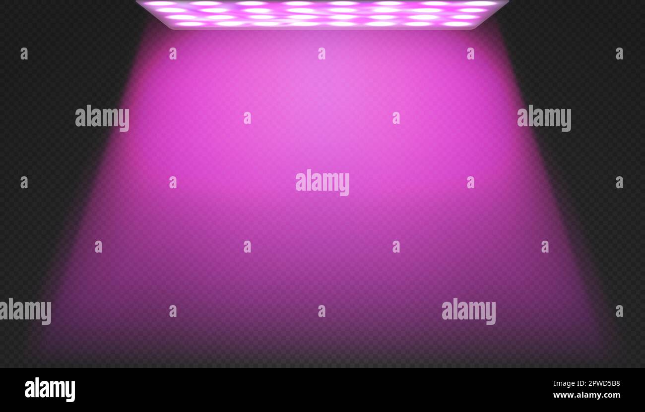 Led red and blue spectrum phytolamp for indoor plant growing. Pink uv ...