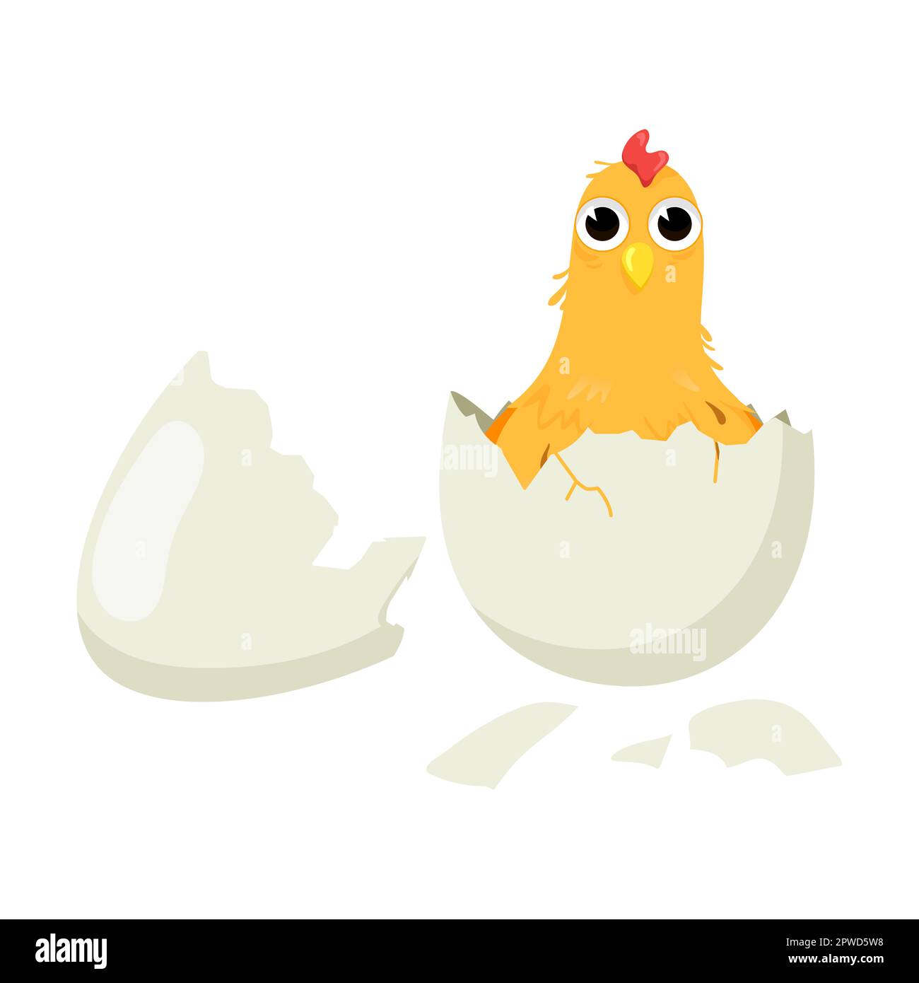 Cute chick looks ahead, hatching process. Vector illustration of birth ...