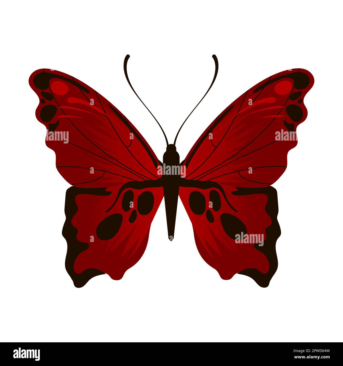 Flying Butterfly Vector