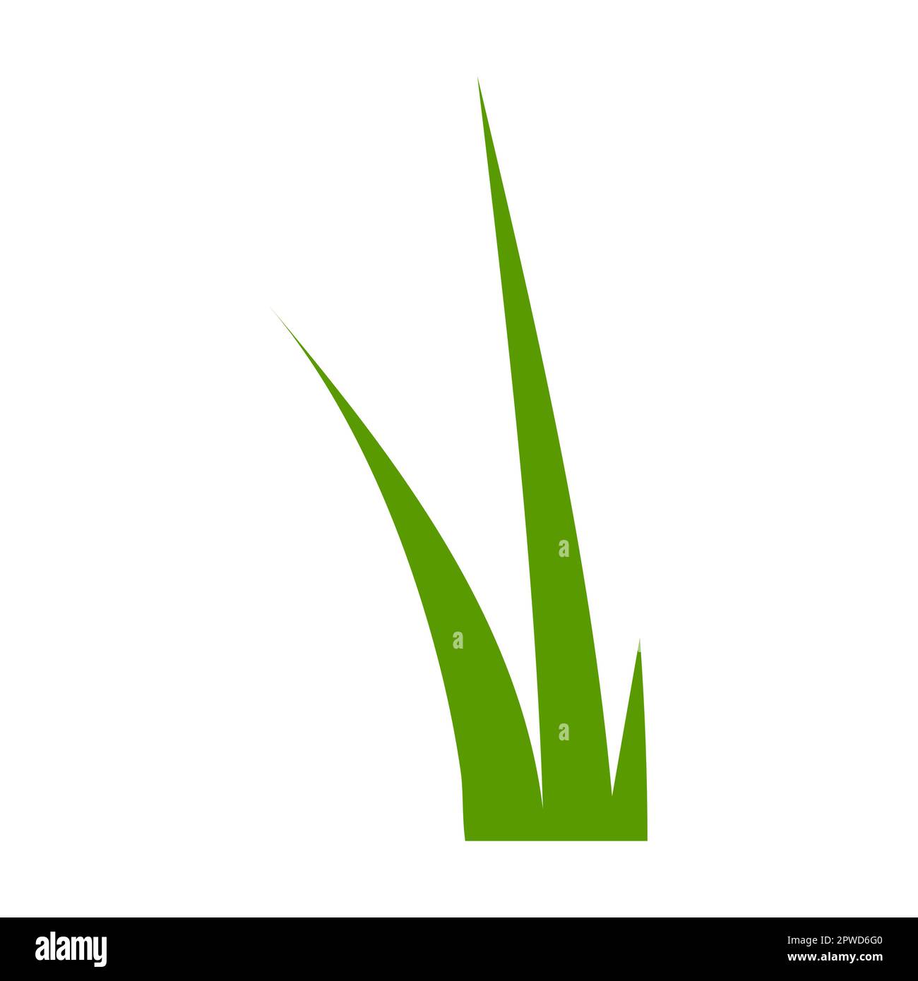 Green small leaf grass. Vector illustration of plants. Floral borders ...