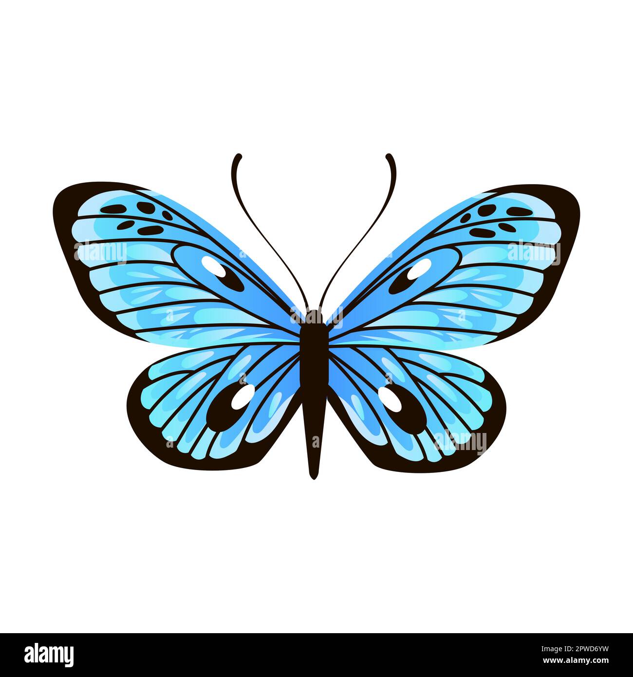blue moth, watercolor butterfly. Vector illustration of insect with ...