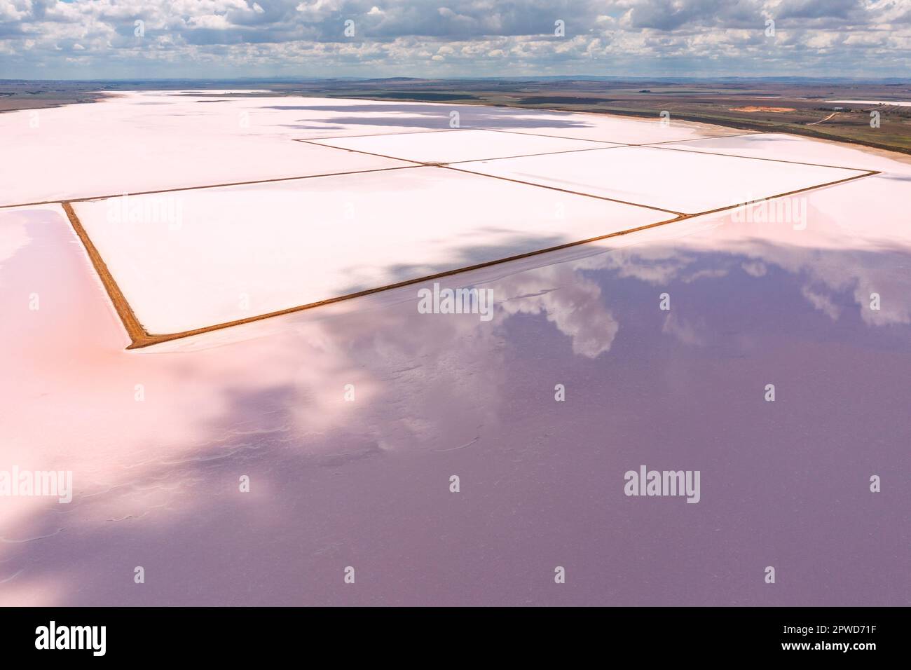 Aerial view of levee banks and borders of a pink salt lake at Lake ...