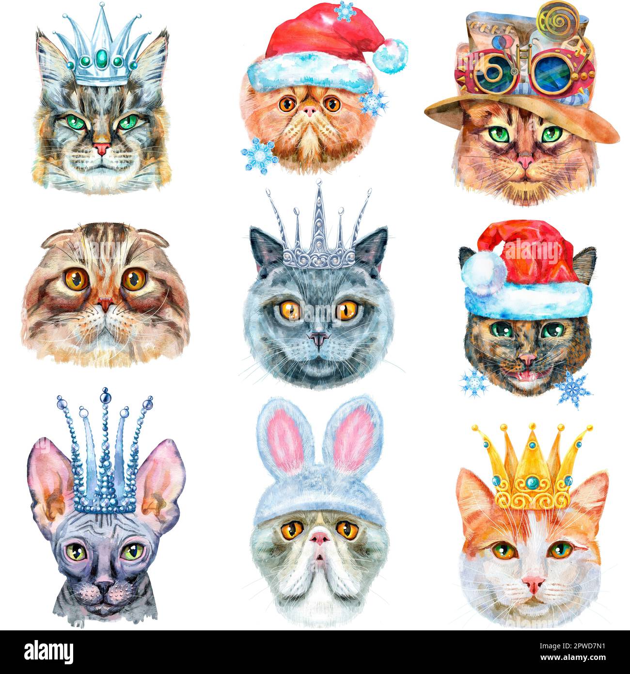 Cute cats. Cat for t-shirt graphics. Watercolor cats illustration ...