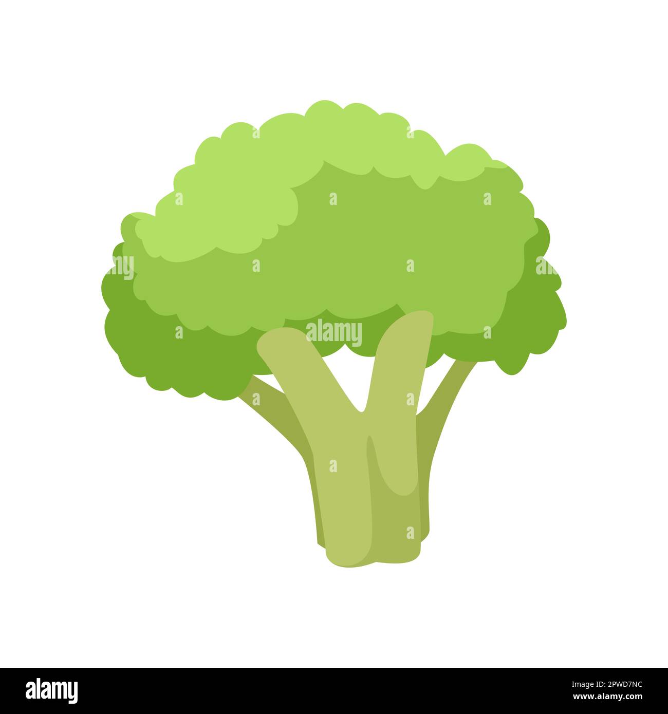 Broccoli with collagen vector illustration Stock Vector Image & Art - Alamy