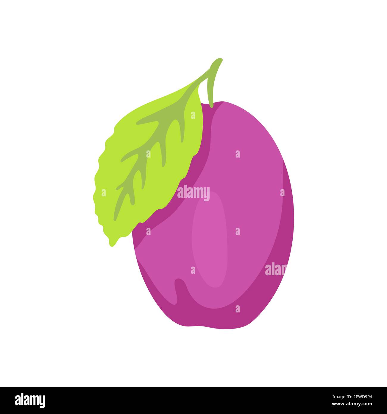 Plum with green leaf vector illustration Stock Vector Image & Art - Alamy