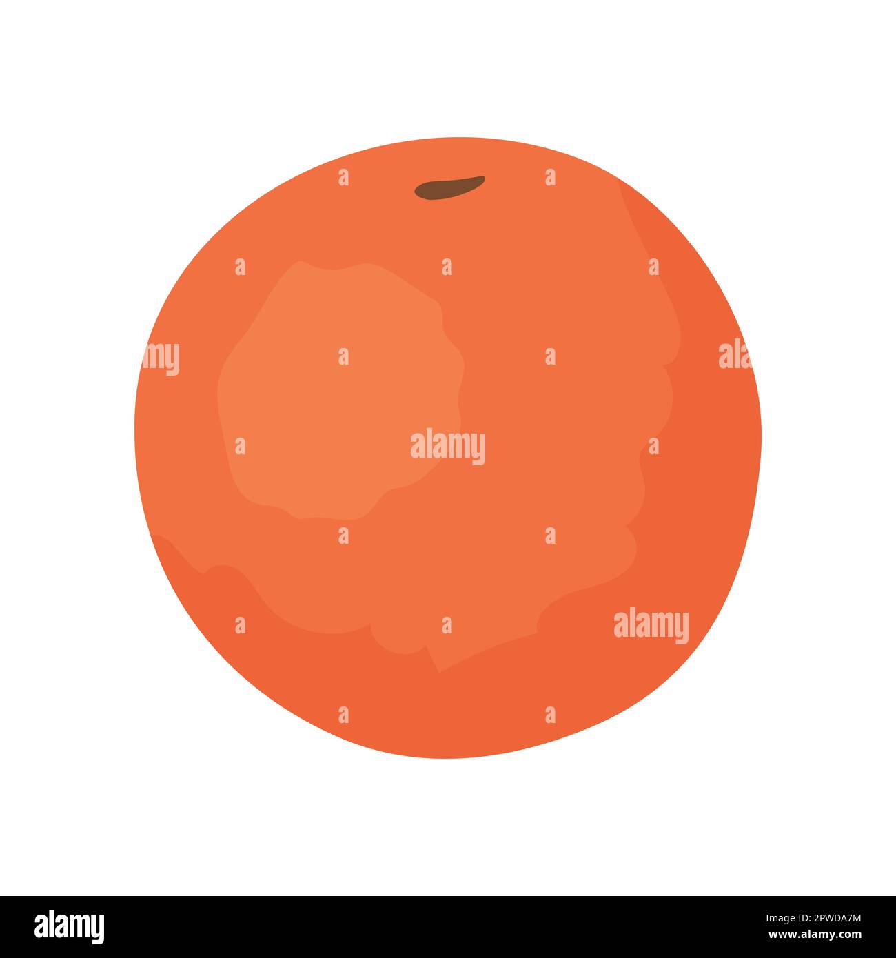 Orange as healthy snack after meal vector illustration Stock Vector ...