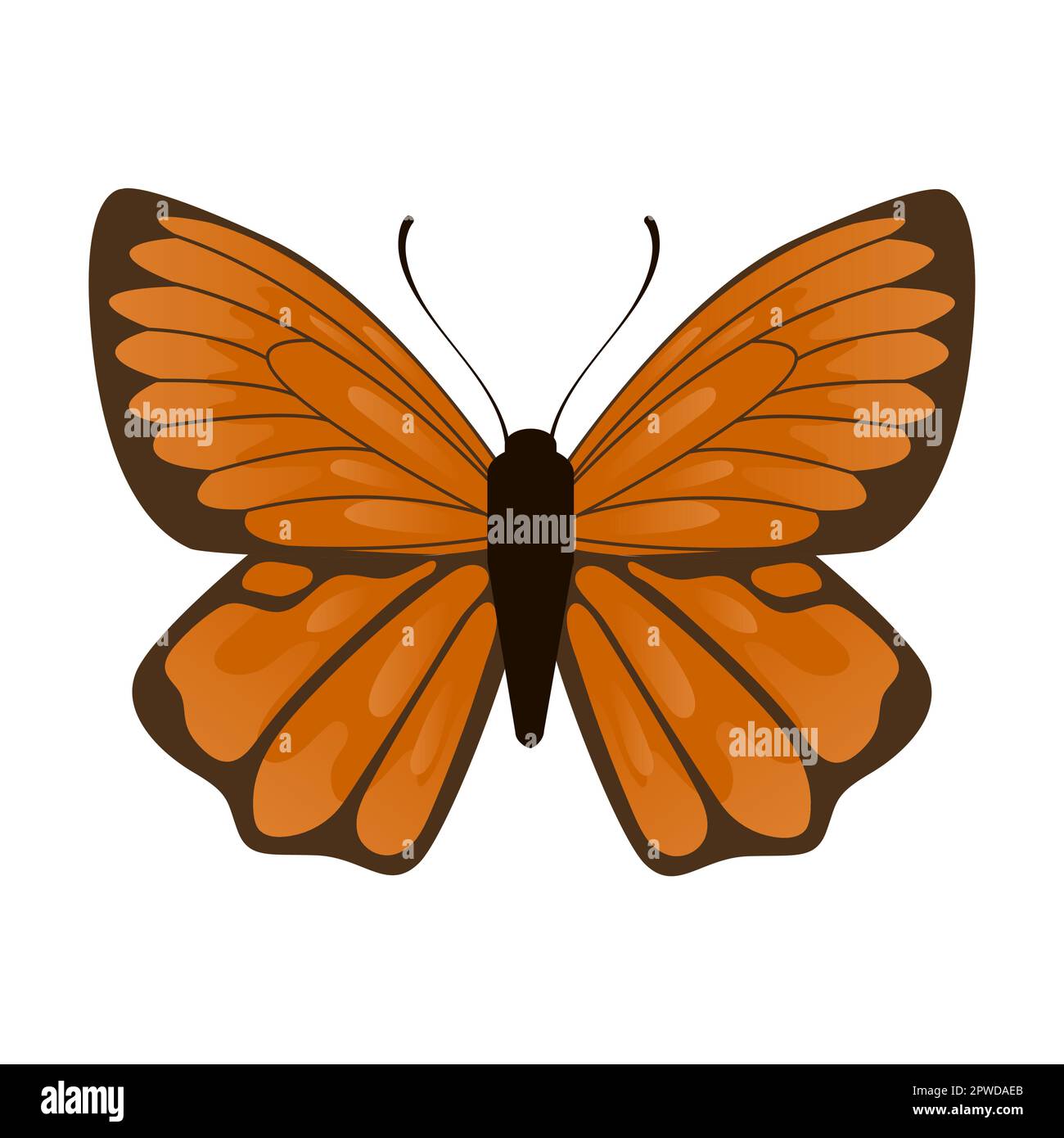 Cartoon Monarch Butterfly Flying