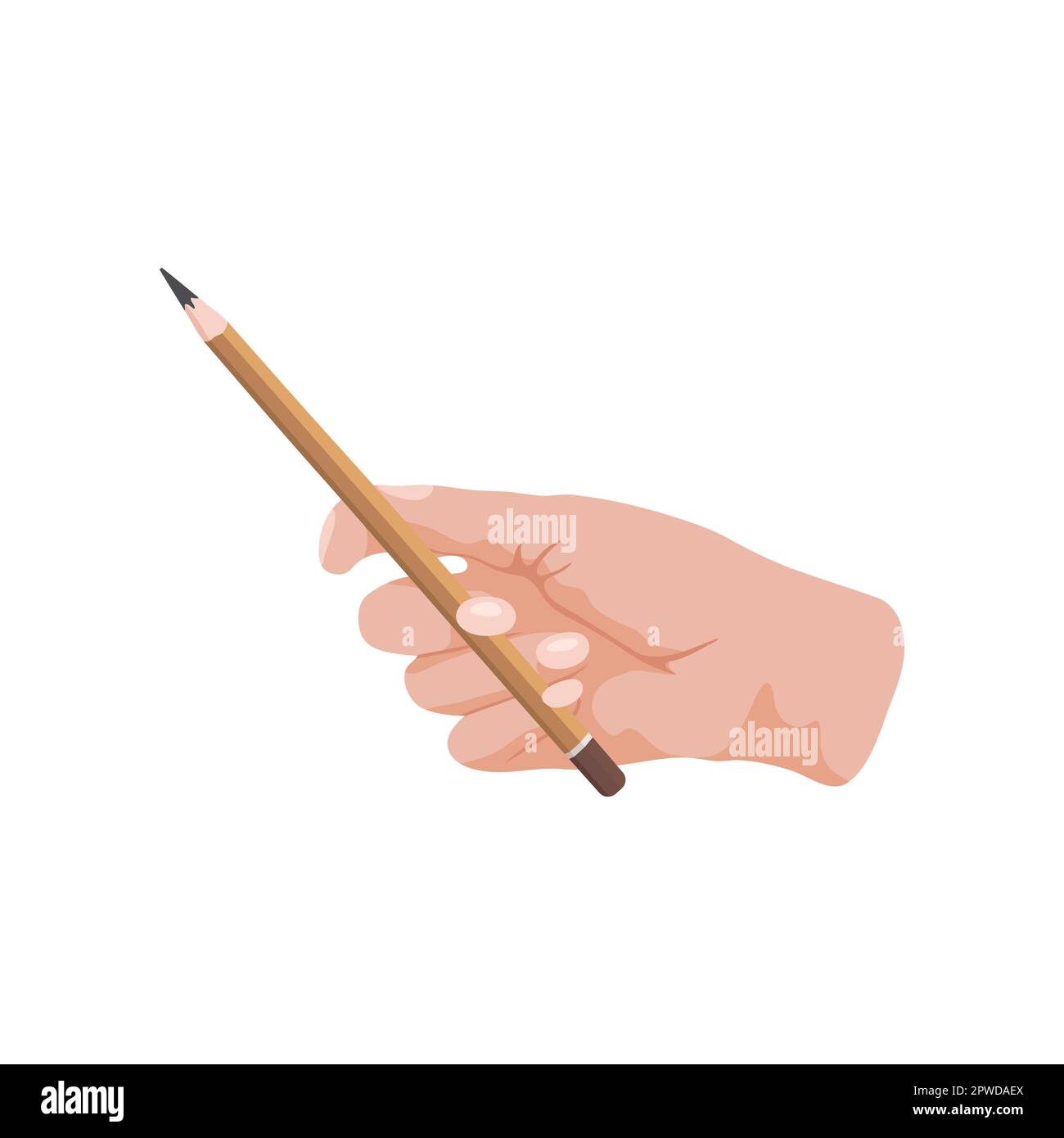 Hand holding pencil vector illustration Stock Vector Image & Art - Alamy