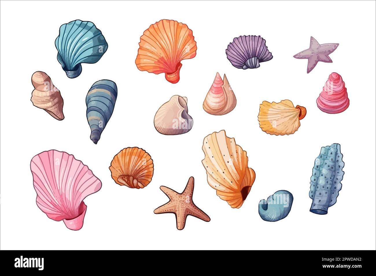 Cone shell illustration hi-res stock photography and images - Alamy