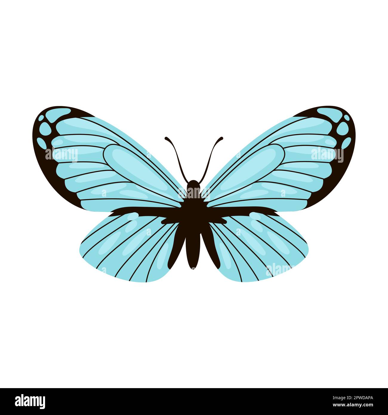 tropical turquoise watercolor butterfly. Vector illustration of insect ...