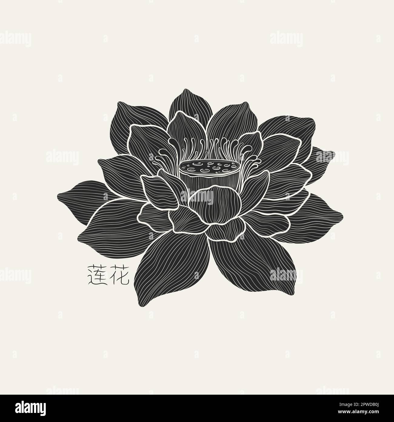 Freehand of a lotus with thin graceful lines . Lotus flower luxury ...