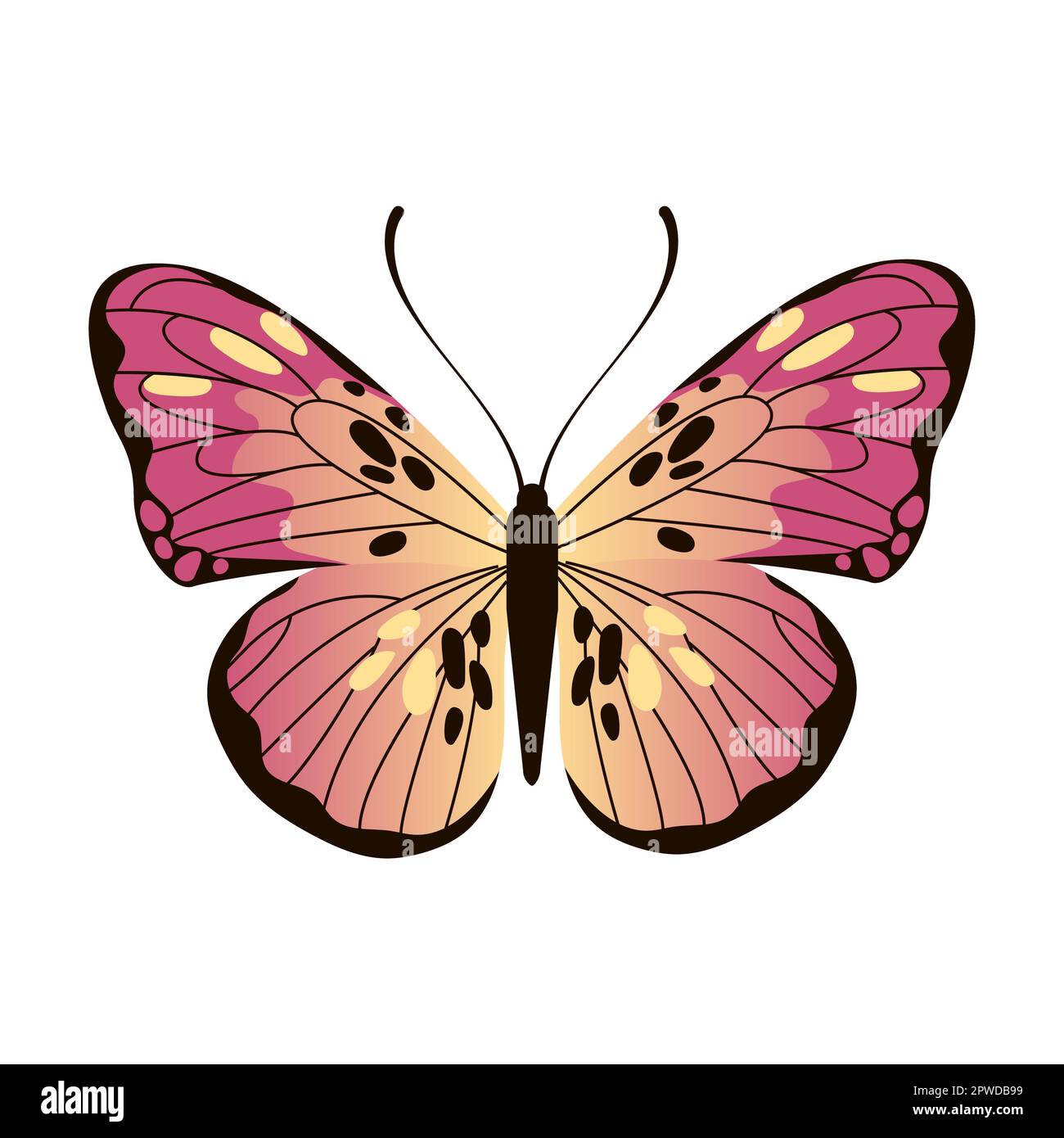 pink mother of pearl watercolor butterfly. Vector illustration of ...