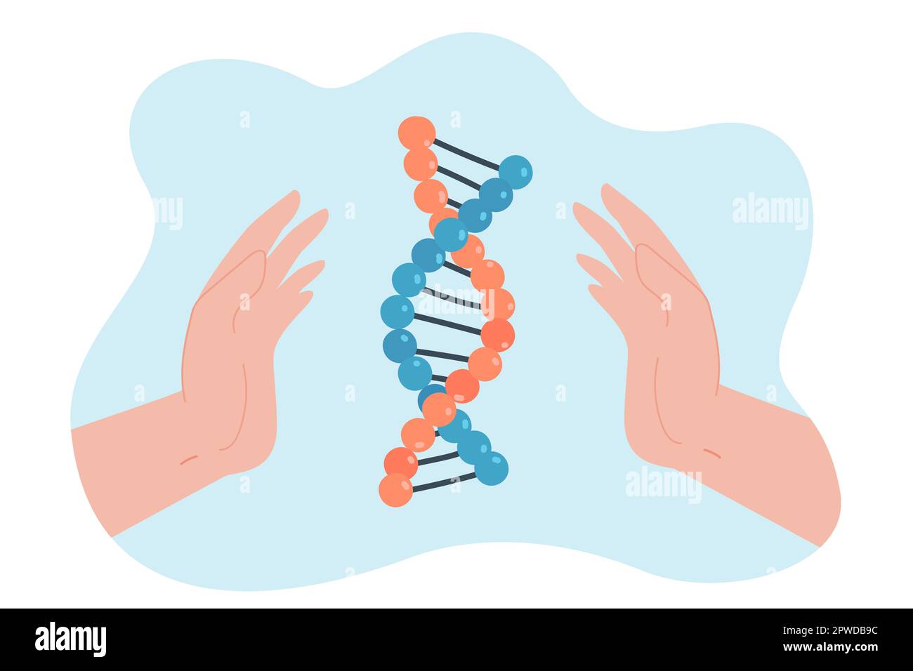 Hands holding DNA model flat vector illustration Stock Vector Image ...