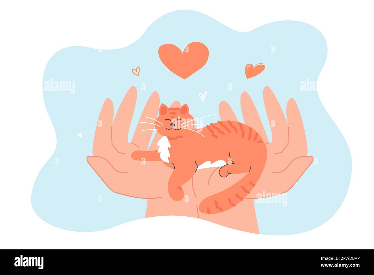 Human cat bonding Cut Out Stock Images & Pictures - Alamy