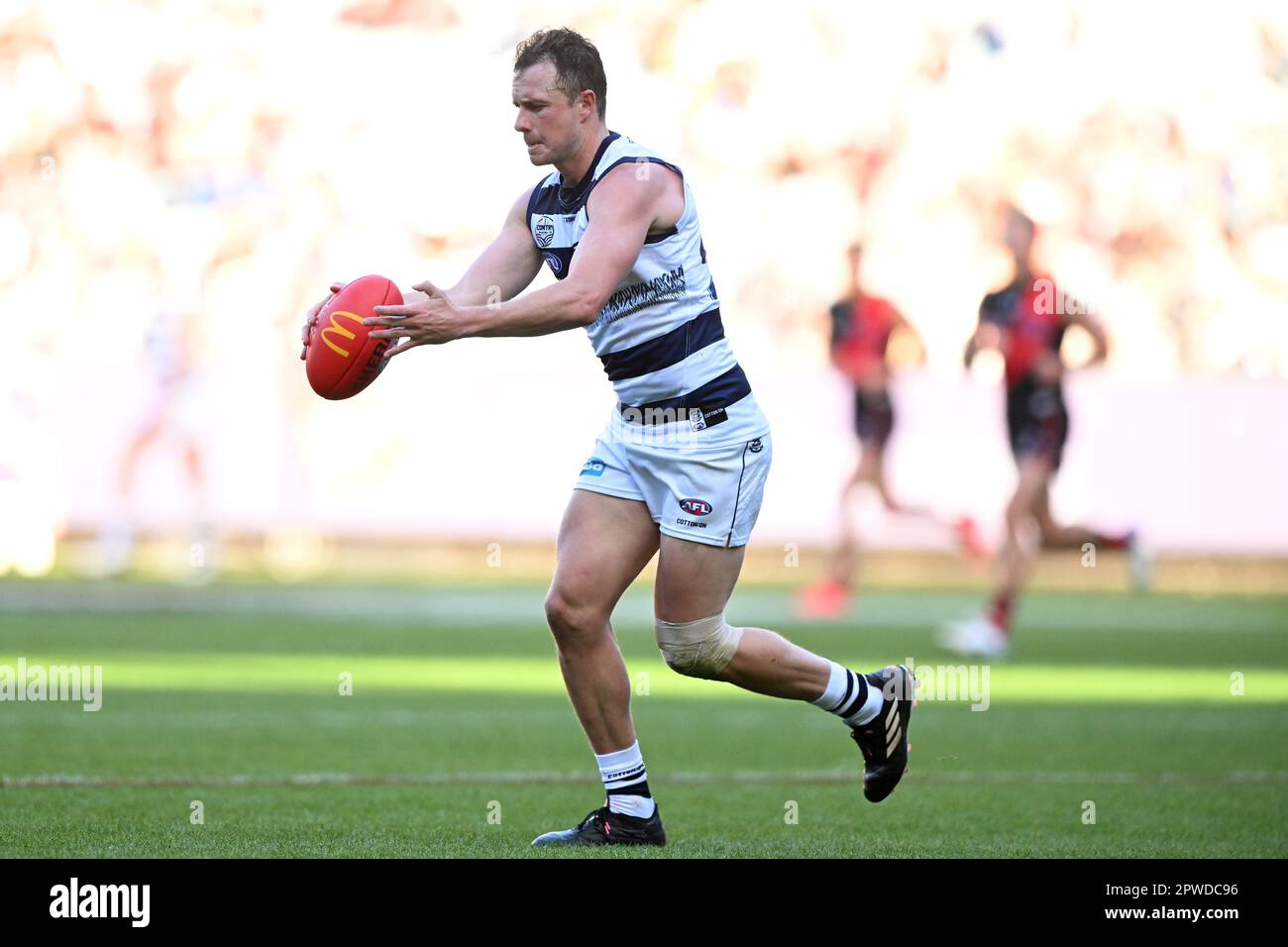 Mitch Duncan of Geelong kicks the footy during the AFL Round 7 match ...