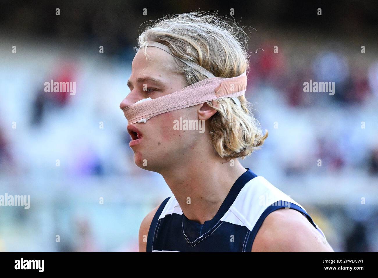 Sam De Koning of Geelong during the AFL Round 7 match between the Essendon Bombers and the ...