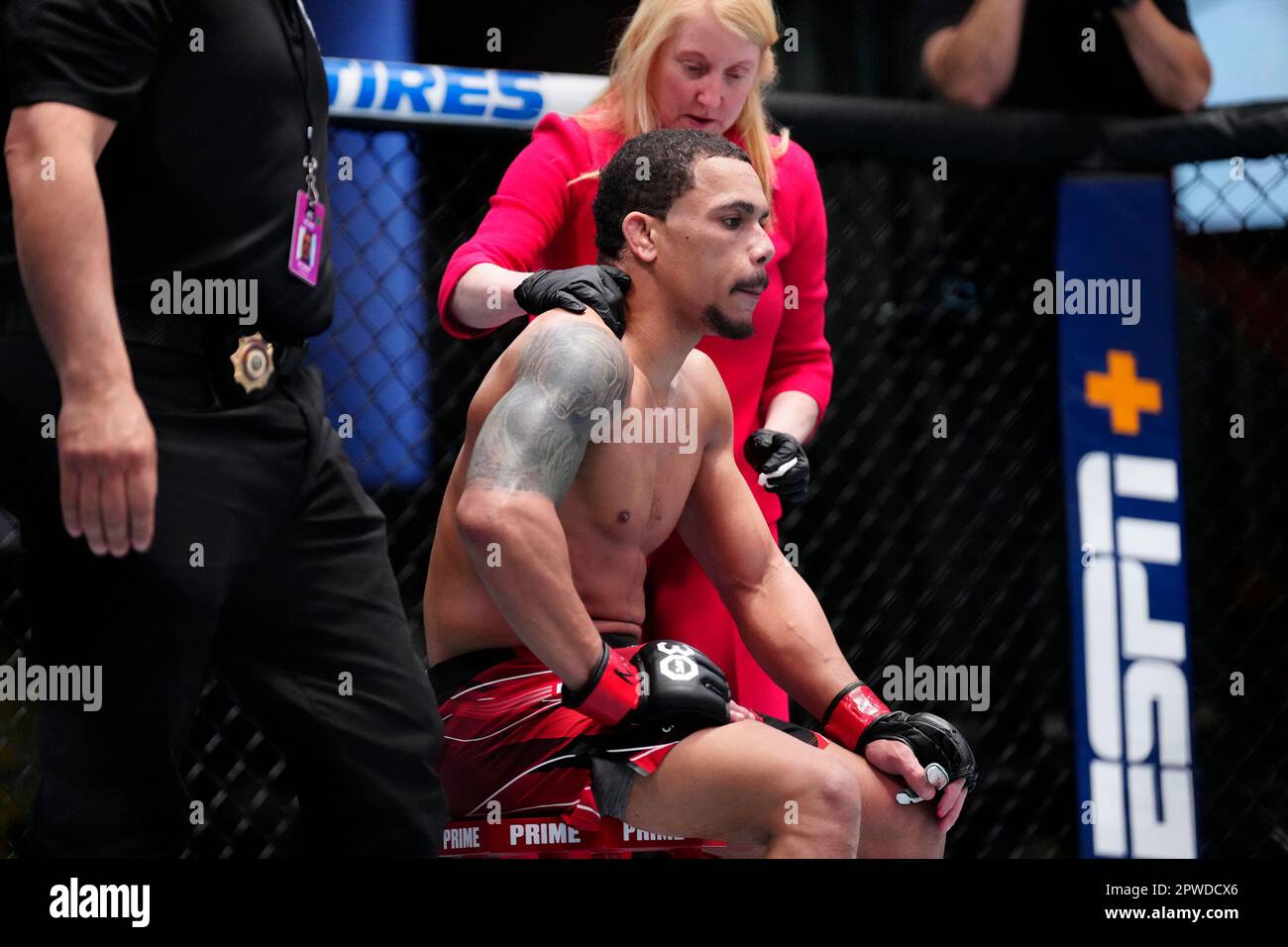 Newson hi-res stock photography and images - Alamy