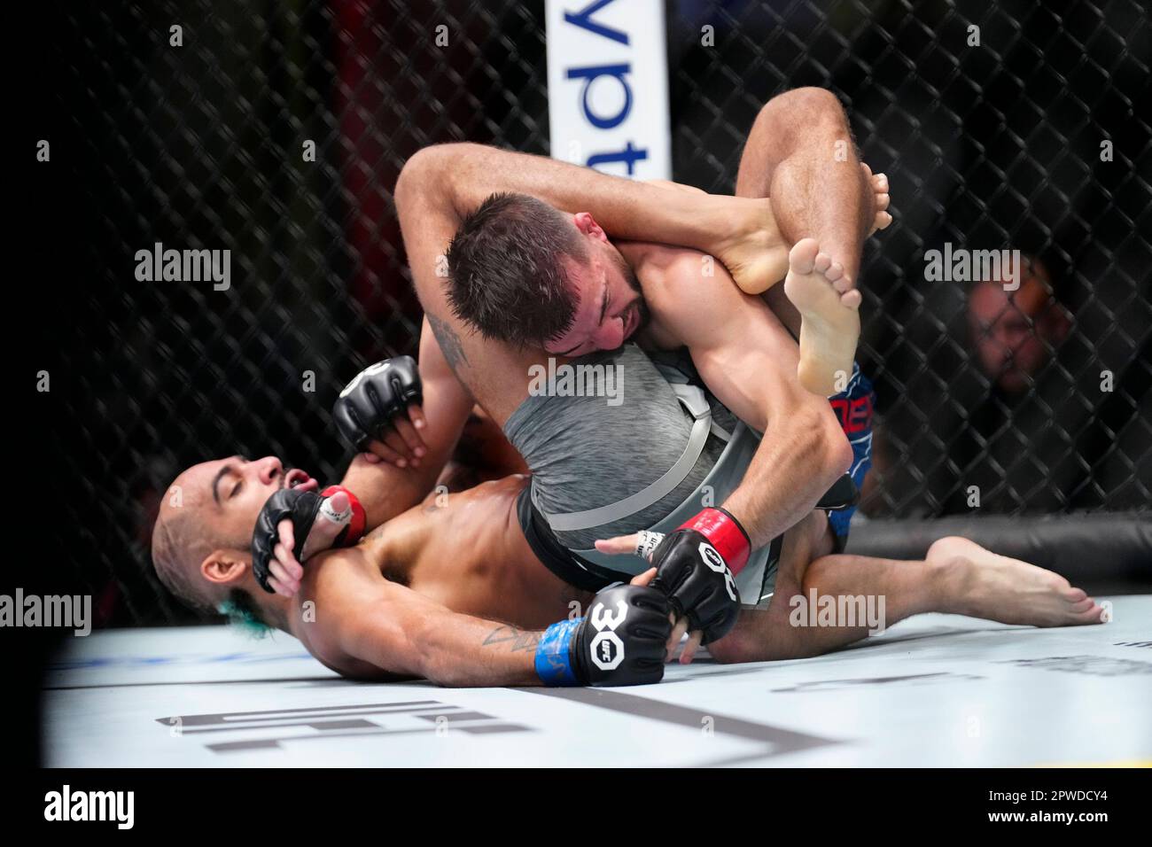 Cody durden and charles johnson hi-res stock photography and images - Alamy