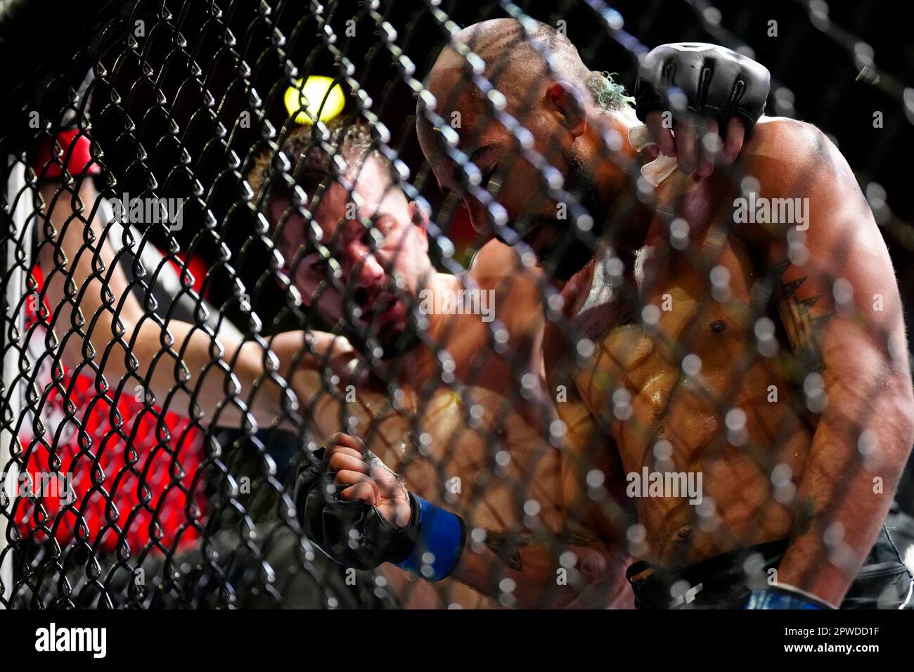 LAS VEGAS, NV - April 29: Cody Durden and Charles Johnson fight in a ...