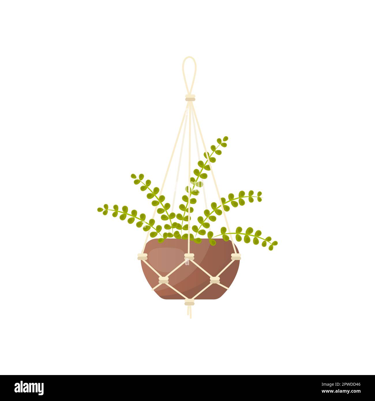 Hanging fern plant in pot vector illustration Stock Vector Image & Art ...